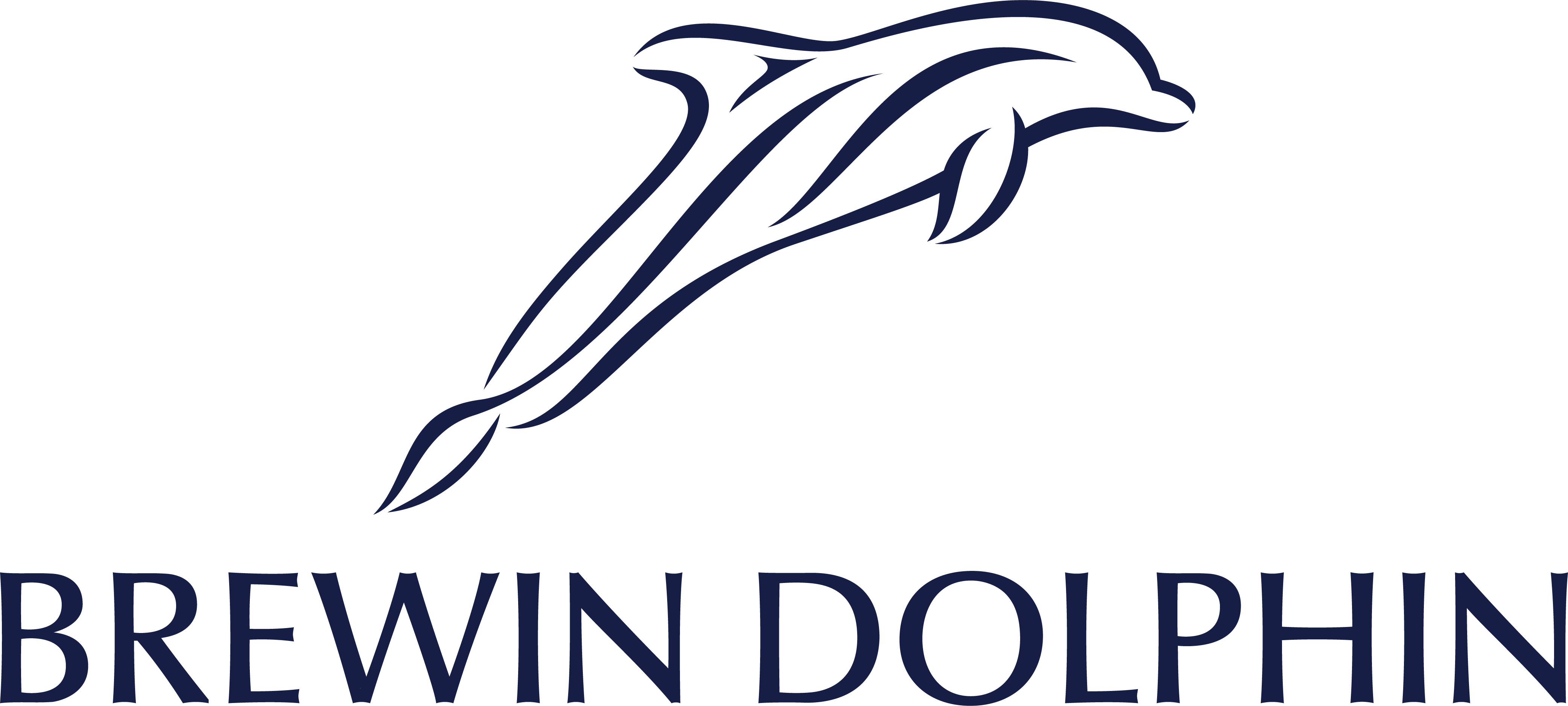 dolphin financial services